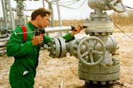 Stopaq, Pipe Protection For Cast Iron, Ductile Iron, Steel and Copper Pipe